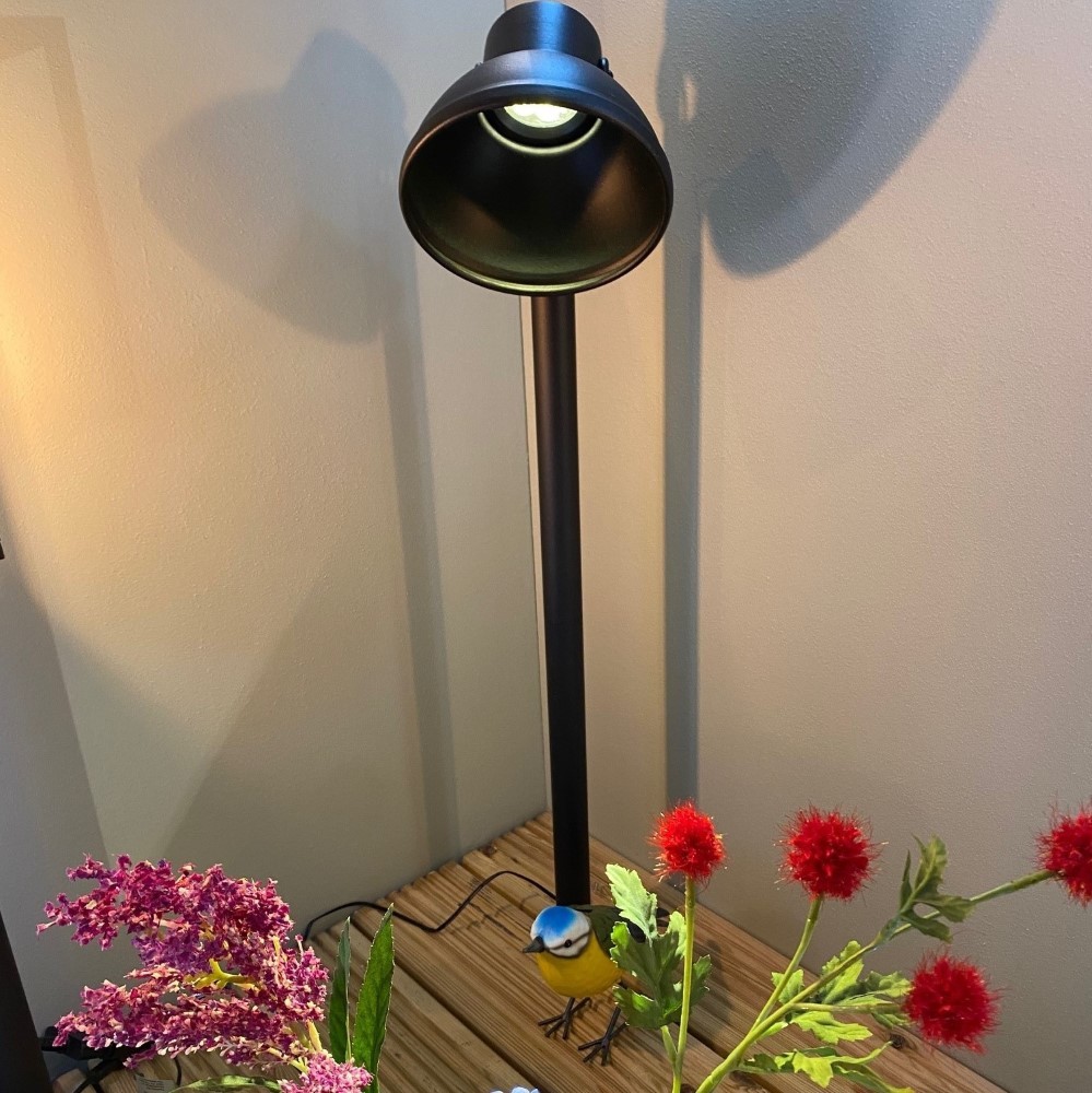 Exterior Spot Light Fixtures Outdoor Spotlights LED Spotlights